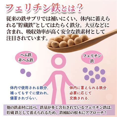 【楽天市場】「うれしいフェリチン鉄 60粒」 鉄 鉄分 Fe 鉄分補給 鉄分不足 貯蔵鉄 フェリチン鉄 非ヘム鉄 フェリチン フェリチン鉄
