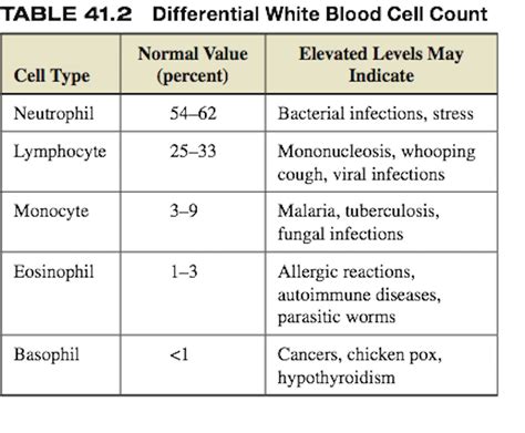 A Complete Blood Count CBC Test Is One Of The Most Comprehensive