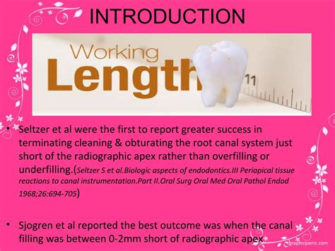 Working Length Determination Ppt Dental Health Diseases And