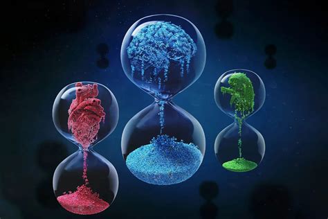 Teal Proteomics 2024 Launch Organ Specific Biological Clock