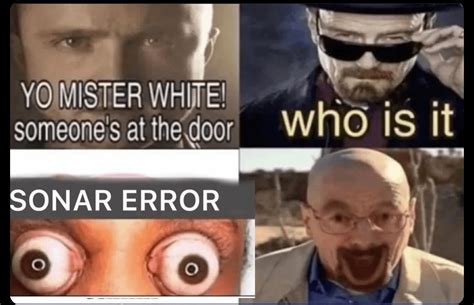 Sonar Error Rokbuddychicanery