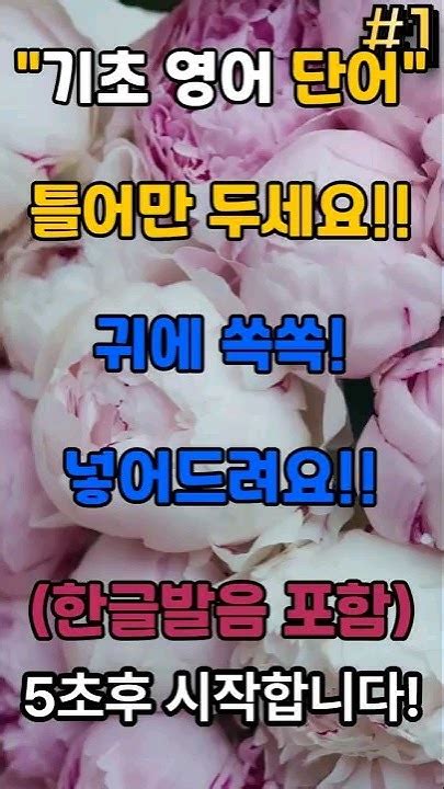 기초영어단어 반복듣기1 출퇴근운동잠잘때 틀어만두세요 5단어씩 알려드릴게요~한글발음포함 Shorts Youtube
