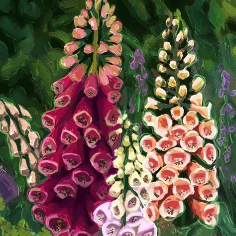 Boba Bitchh On Tumblr