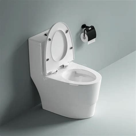 Modern Sanitary Ware Dual Flush Water Closet Ceramic One Piece Wc
