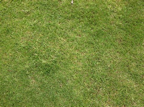 Imageafter Photos Grass Texture Field Meadow