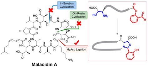 Total Synthesis Of Malacidin A By β Hydroxy Aspartic Acid Ligation
