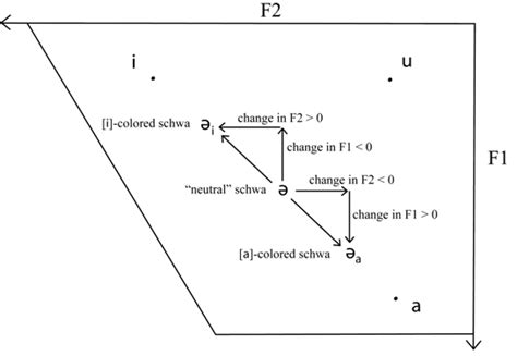 3 The Diagram Shows The Expected Influence On Schwa Of Coarticulatory