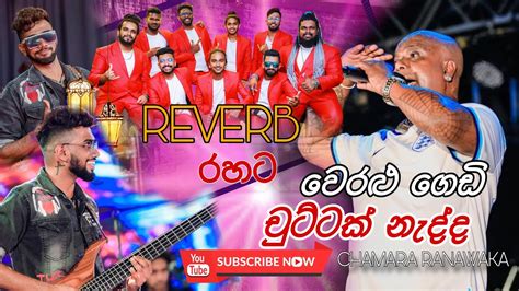 වෙරළු ගෙඩි Weralu Gedi Bandaragama Reverb චුට්ටක් නැද්ද Reverb Malith Bass Cover