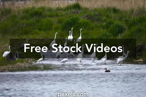 동영상 한국 중국늙은할머니 Videos Download The Best Free 4k Stock Video Footage And 동영상 한국 중국늙은할머니 Hd Video Clips