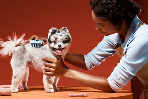 How To Price Your Services Acuity Scheduling Acuity Scheduling