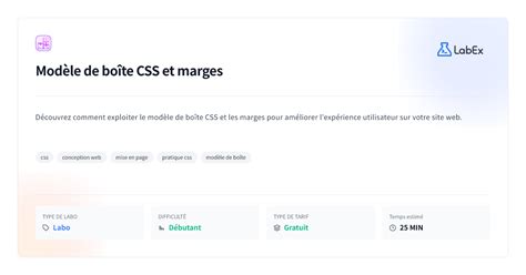 Maîtriser Le Modèle De Boîte Css Et Les Marges Pour Une Mise En Page