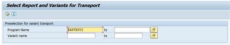 How To Default Variant In SAP