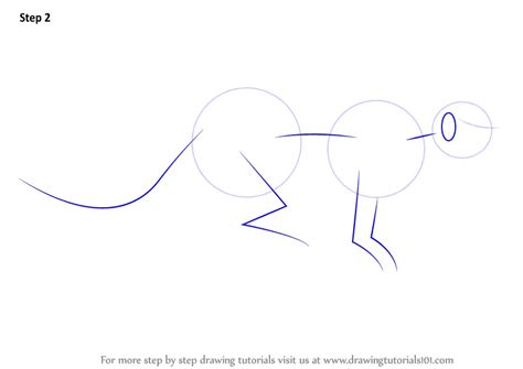 Step By Step How To Draw A Banded Mongoose