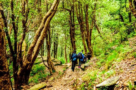 Offbeat Placeshomestaysprashar Lake Trek Places To Visit Mandi