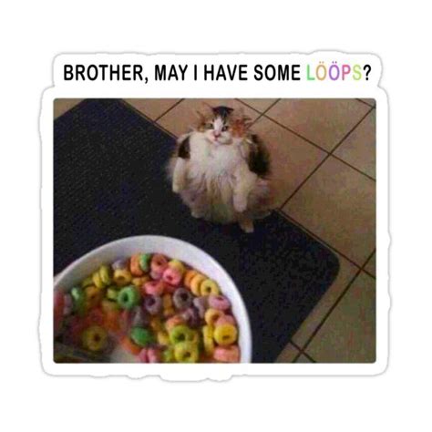 Brother May I Have Some Loops Sticker For Sale By Memesndeams