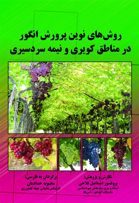 روش‌های نوین پرورش انگور اکوبوکس فروشگاه انتشارات کدیور