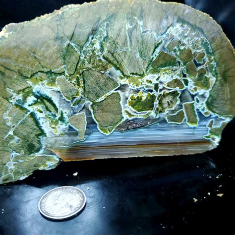 Thunder Egg Specimen Q Dan Hurd Prospecting