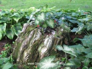 How To Make A Tree Stump Planter Lots Of Creative Ideas Gingham Gardens
