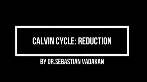 Calvin Cycle Reduction YouTube