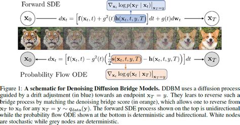 （2024 iclr，ddbm，基于分数的 ode 和 sde，doob 的 h 变换）去噪扩散桥模型 ode启发块为什么可以去噪 csdn博客