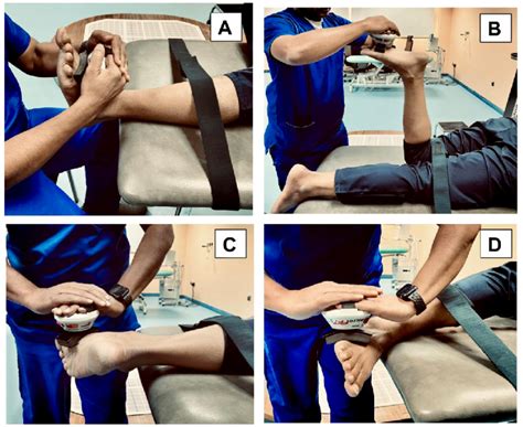 Different Positions For Isometric Testing Using The Handheld