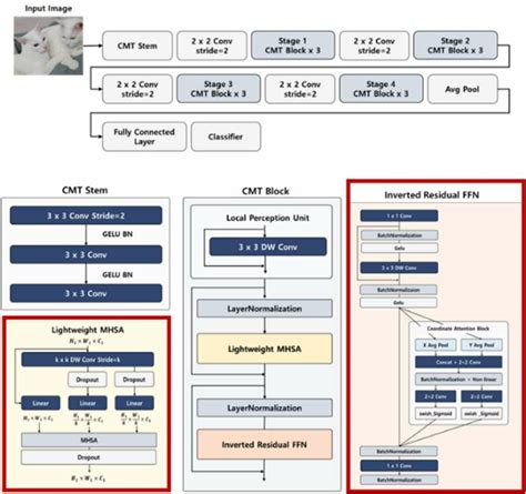 A Convolutional Neural Networks Meet Vision Transformers Cmt Model Download Scientific