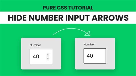 Hide Arrows From Input Number CSS Coding Artist