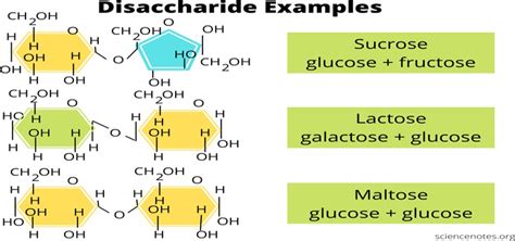 Biochemistry And Clinical Pathology Er2 23t Chapter 2 Carbohydrates