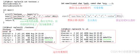 【linux系统编程】第二十四弹 从零到一：掌握进程替换的奥秘 Csdn博客