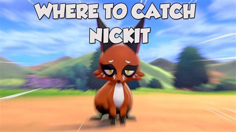 Where To Catch Nickit In Pokemon Sword And Shield Youtube