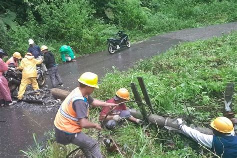 Pln Ingatkan Warga Ntt Mitigasi Bencana Kelistrikan Saat Angin Kencang
