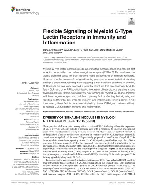 Pdf Flexible Signaling Of Myeloid C Type Lectin Receptors In Immunity