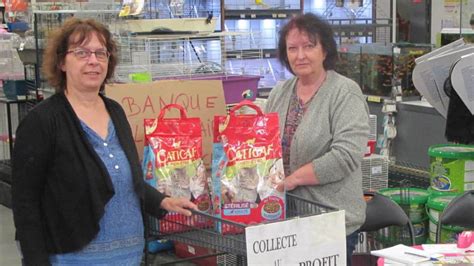 Lécole Du Chat Se Mobilise