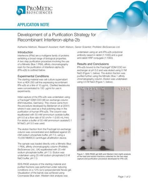 Application Note Development Of A Purification Strategy For