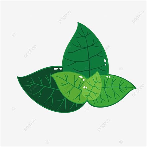 卡通綠色的葉子免扣圖 卡通綠葉 薄荷葉 卡通草葉子向量圖案素材免費下載，png，eps和ai素材下載 Pngtree