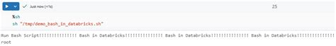 How To Run Bash In Databricks 2025