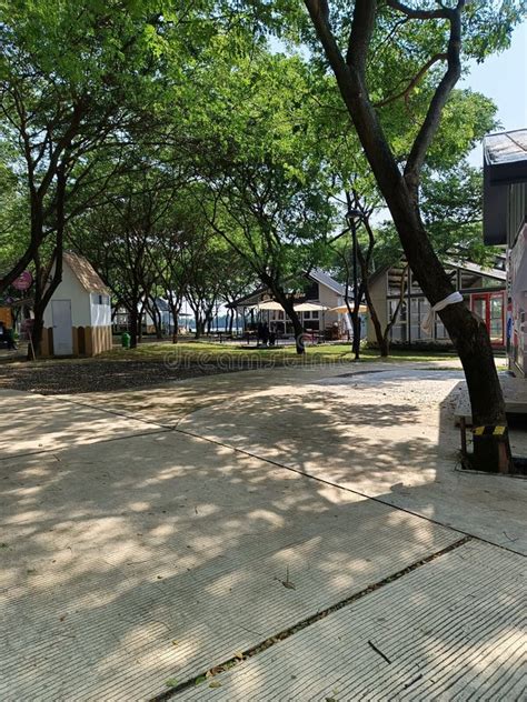 Urban Forest Within Residential Areas Stock Image Image Of Forest Areas 323993935