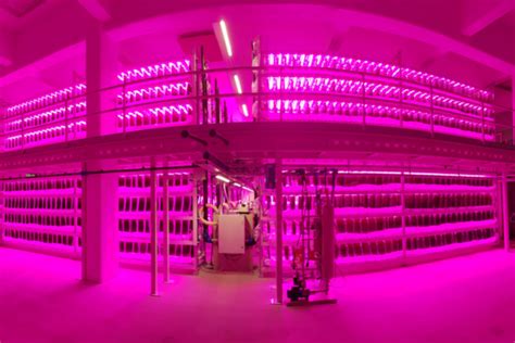 Data Mining Approaches For Monitoring And Decision Support Of Indoor