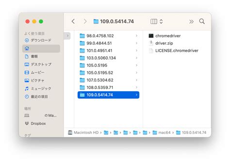 python自動でchrome webdriverバージョンを更新する方法 seleniumスクレイピング プログラミングLab