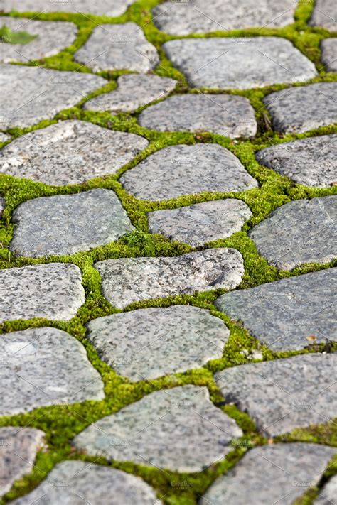 Old Cobblestone Pavement With Green Moss