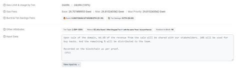 dev left a message on etherscan tx