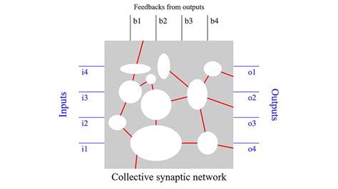 neuromorphic circuit can scale up more easily with disordered synapses