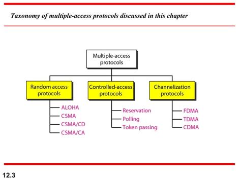 Multiple Access PPT