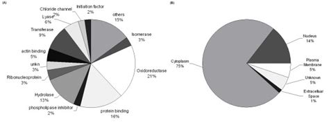 Functional Classification And Subcellular Localization Of Identified Download Scientific