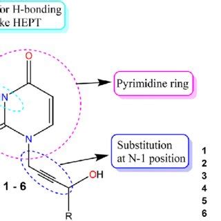 Interaction Of Uracil Derivatives Within The NNIBP Of HIV RT Download Scientific Diagram