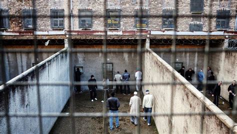 L État assigné pour les rats et cafards de la prison de Fresnes