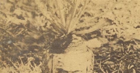 Dull Tool Dim Bulb A Folk Art Carved Parsnip Ephemeral Folk Art