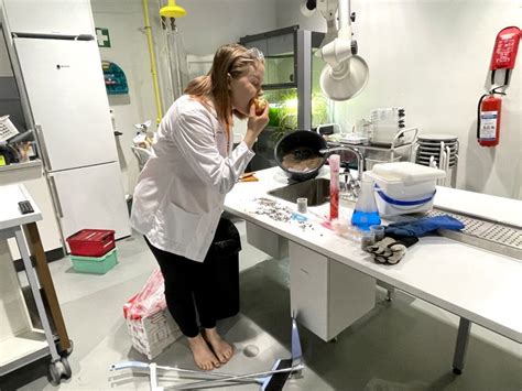 Lab Disasters Creative Learning Through Storytelling Scienceinbabe Org