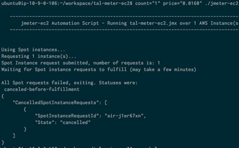 Amazon Web Services Aws Ec2 Spot Instances Cancelled Before