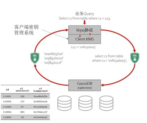【好文推荐】opengauss 5 0 0 数据库安全——全密态探究 opengauss数据库等保安全设置 csdn博客
